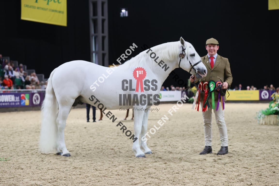 DD3_2060 2024 - 1st Class Images