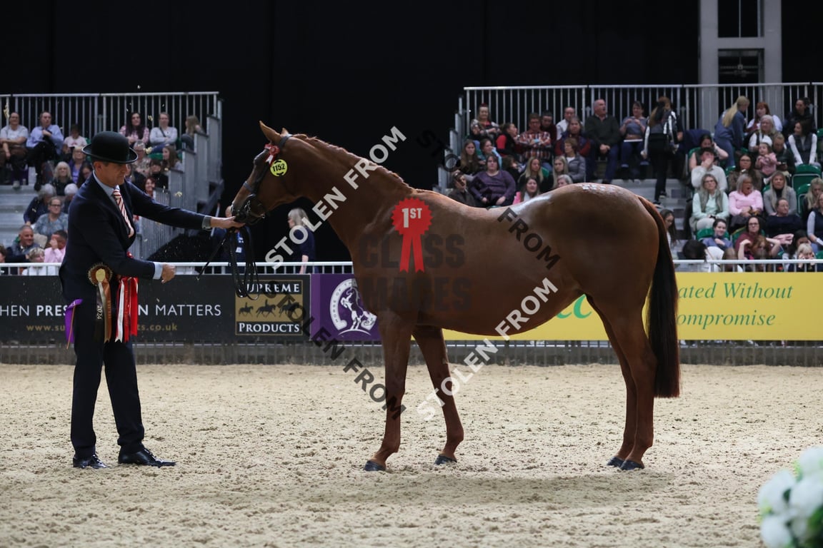 DD3_2074 2024 - 1st Class Images