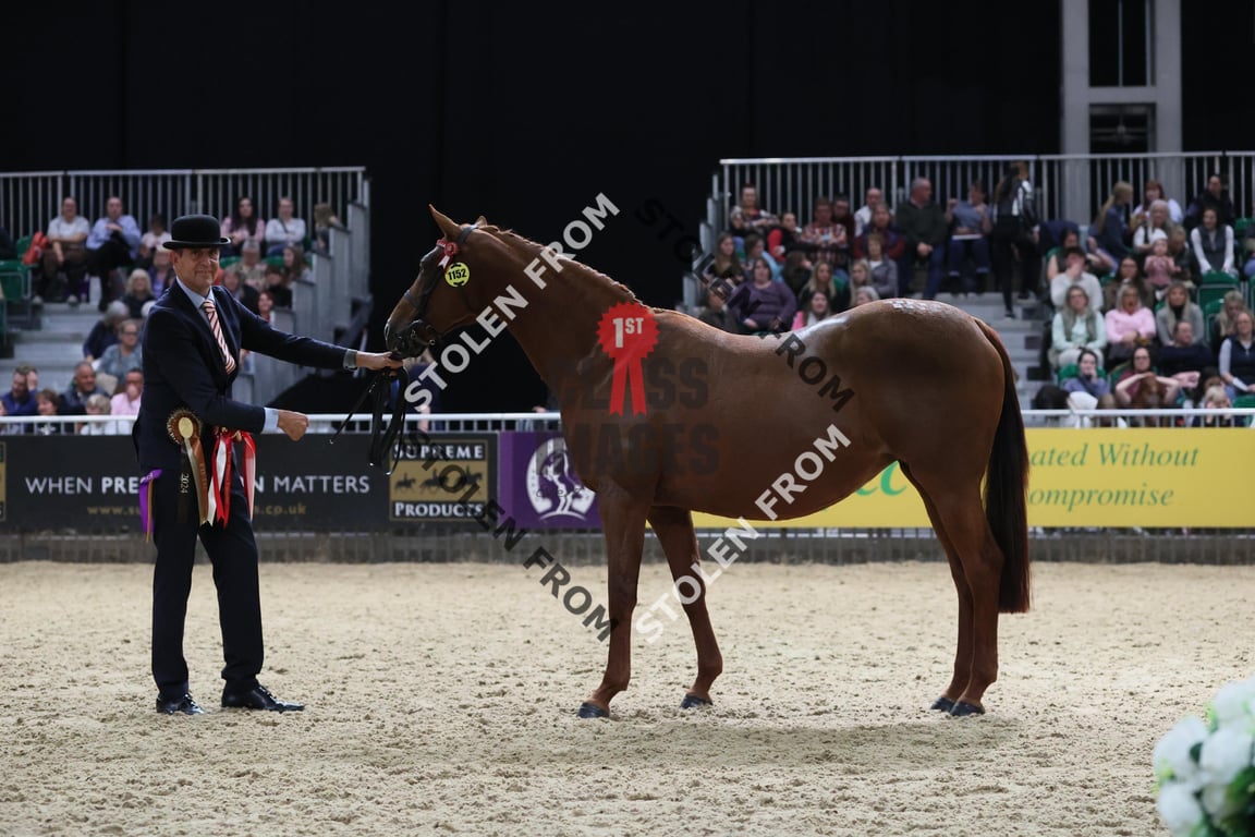 DD3_2076 2024 - 1st Class Images