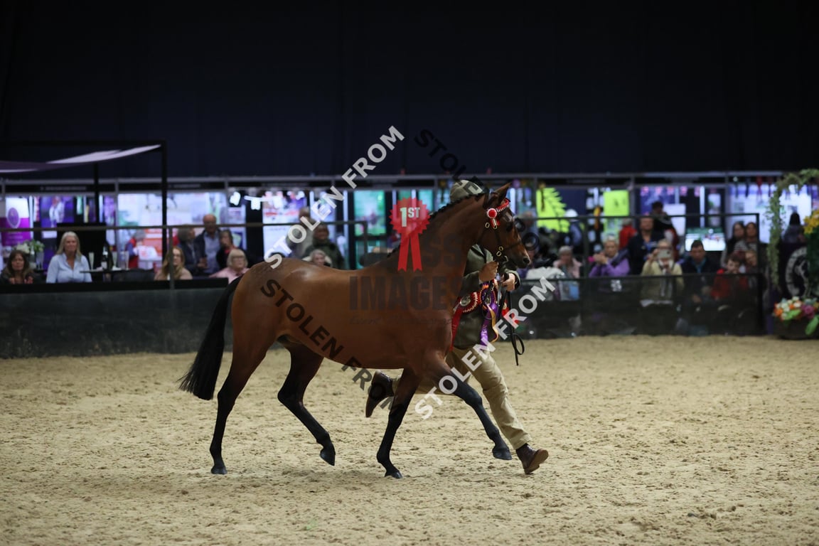 DD3_2102 2024 - 1st Class Images