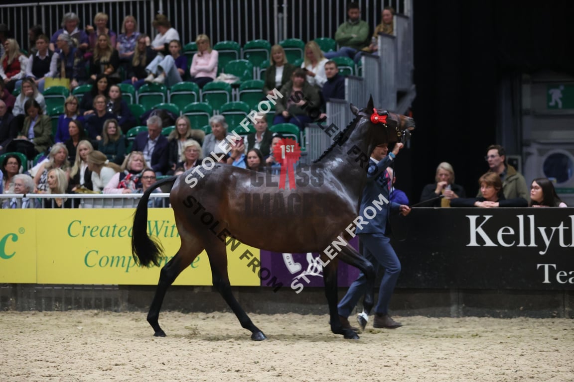 DD3_2122 2024 - 1st Class Images