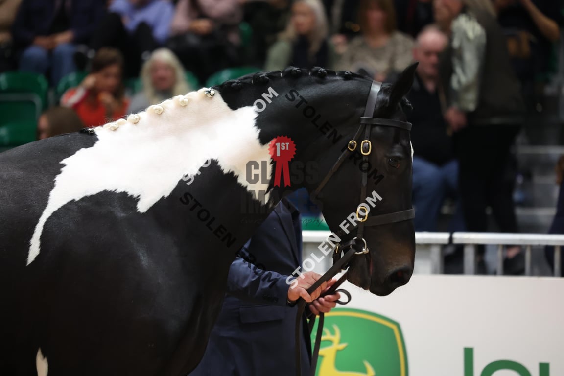 BD3_1837 2024 - 1st Class Images