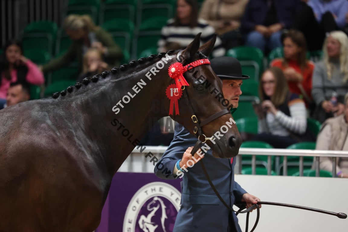 BD3_1841 2024 - 1st Class Images