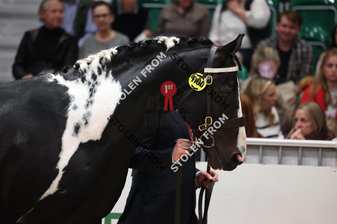 BD3_1846 2024 - 1st Class Images