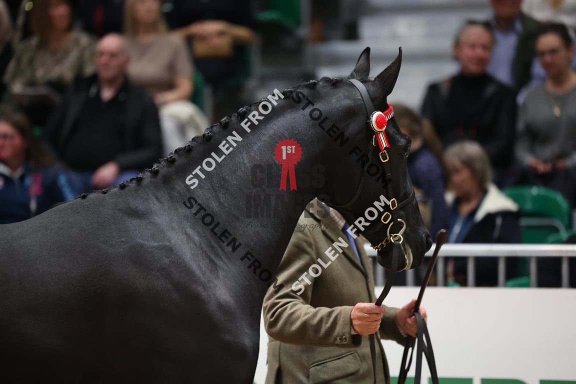 BD3_1851 2024 - 1st Class Images