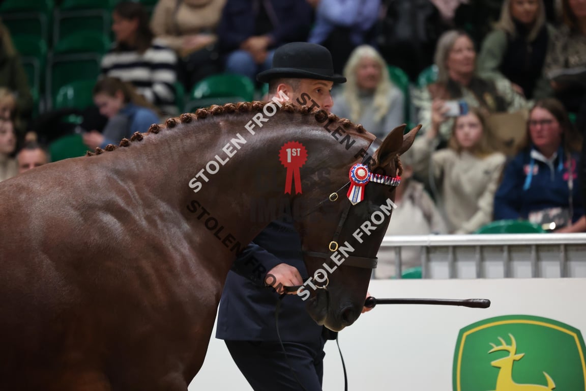 BD3_1860 2024 - 1st Class Images