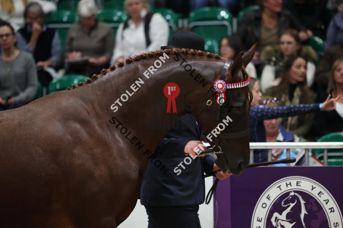 BD3_1863 2024 - 1st Class Images