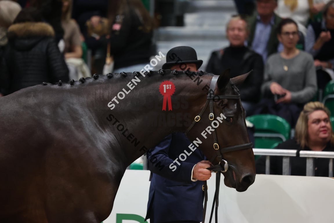 BD3_1868 2024 - 1st Class Images