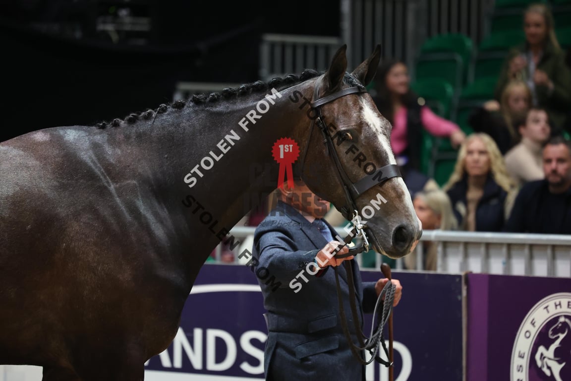 BD3_1871 2024 - 1st Class Images