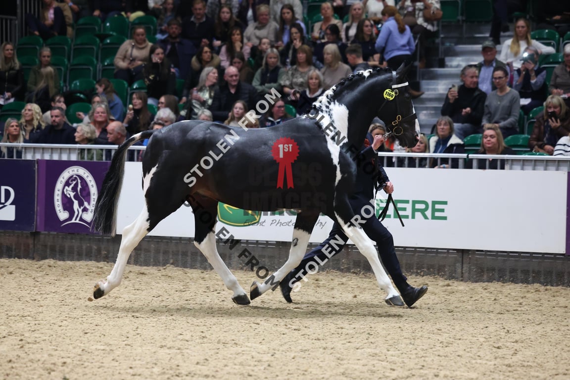 BD3_1898 2024 - 1st Class Images