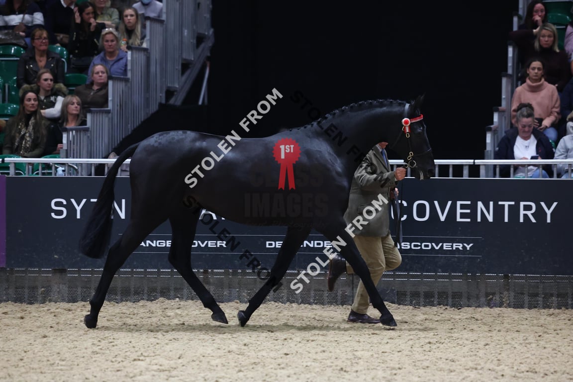 BD3_1906 2024 - 1st Class Images