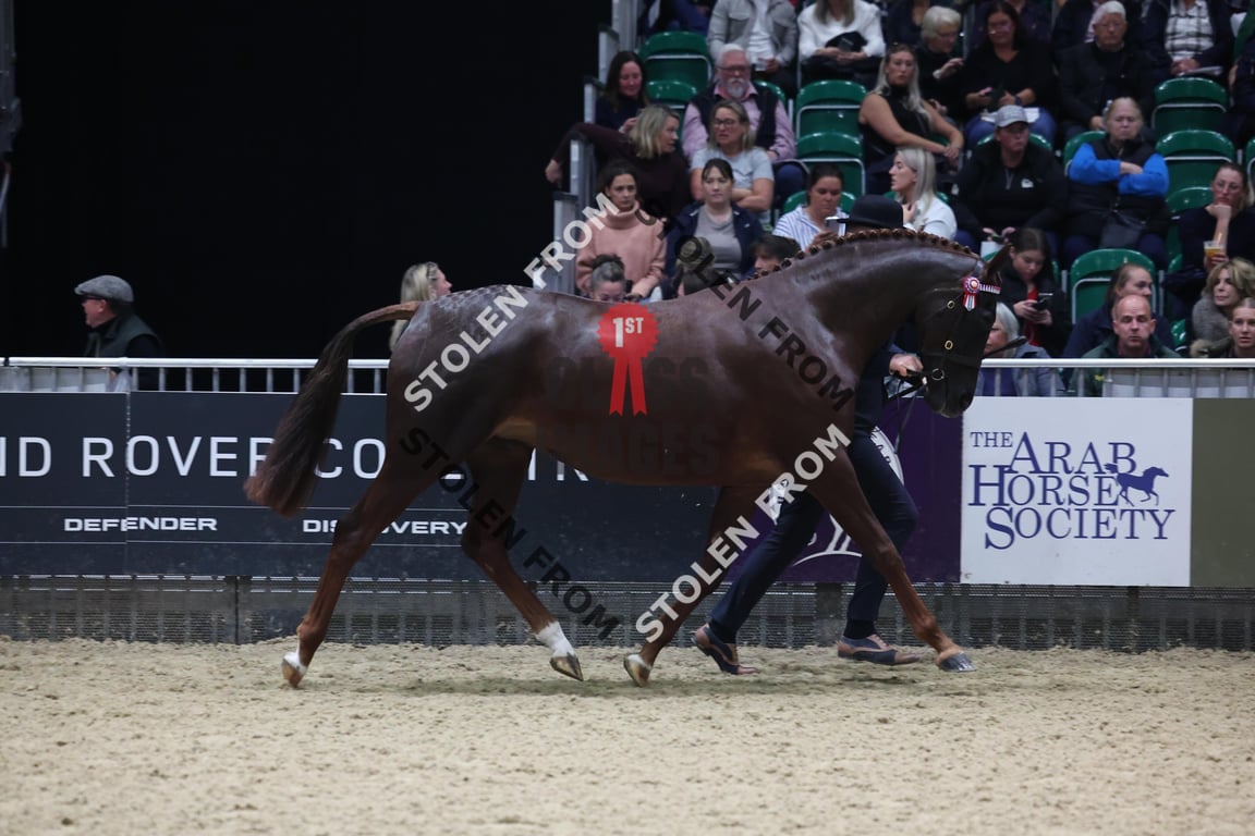 BD3_1916 2024 - 1st Class Images