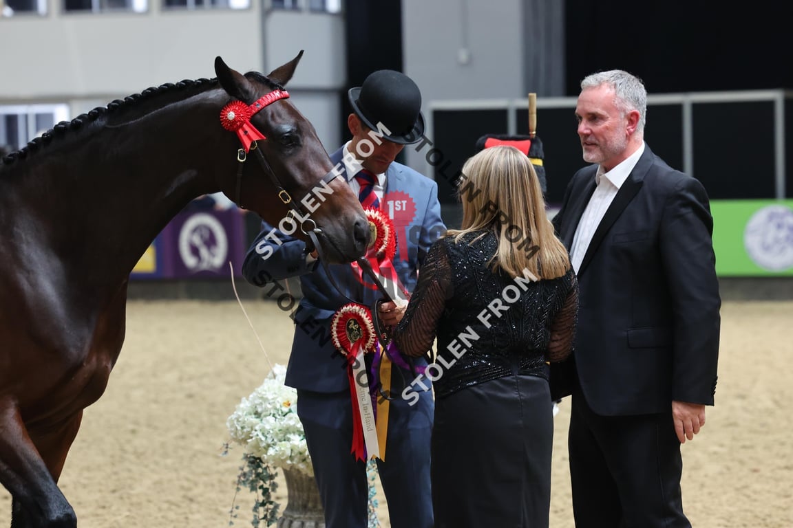 BD3_1924 2024 - 1st Class Images