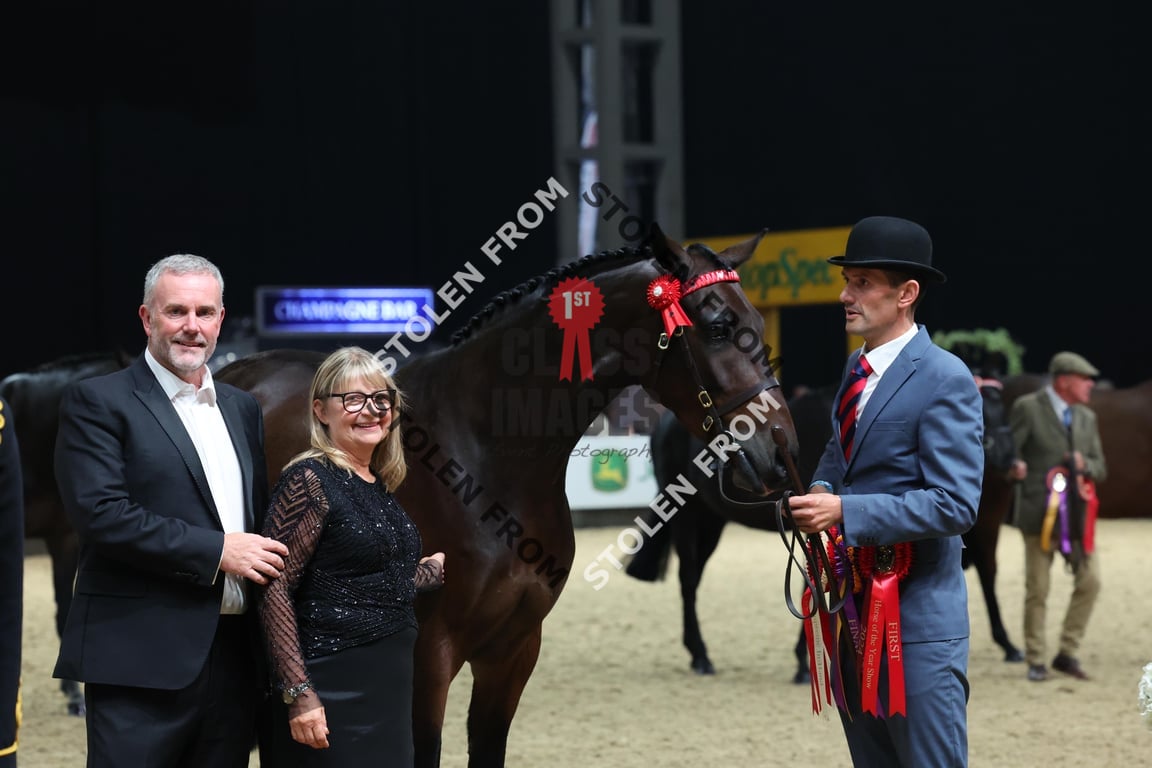 BD3_1939 2024 - 1st Class Images