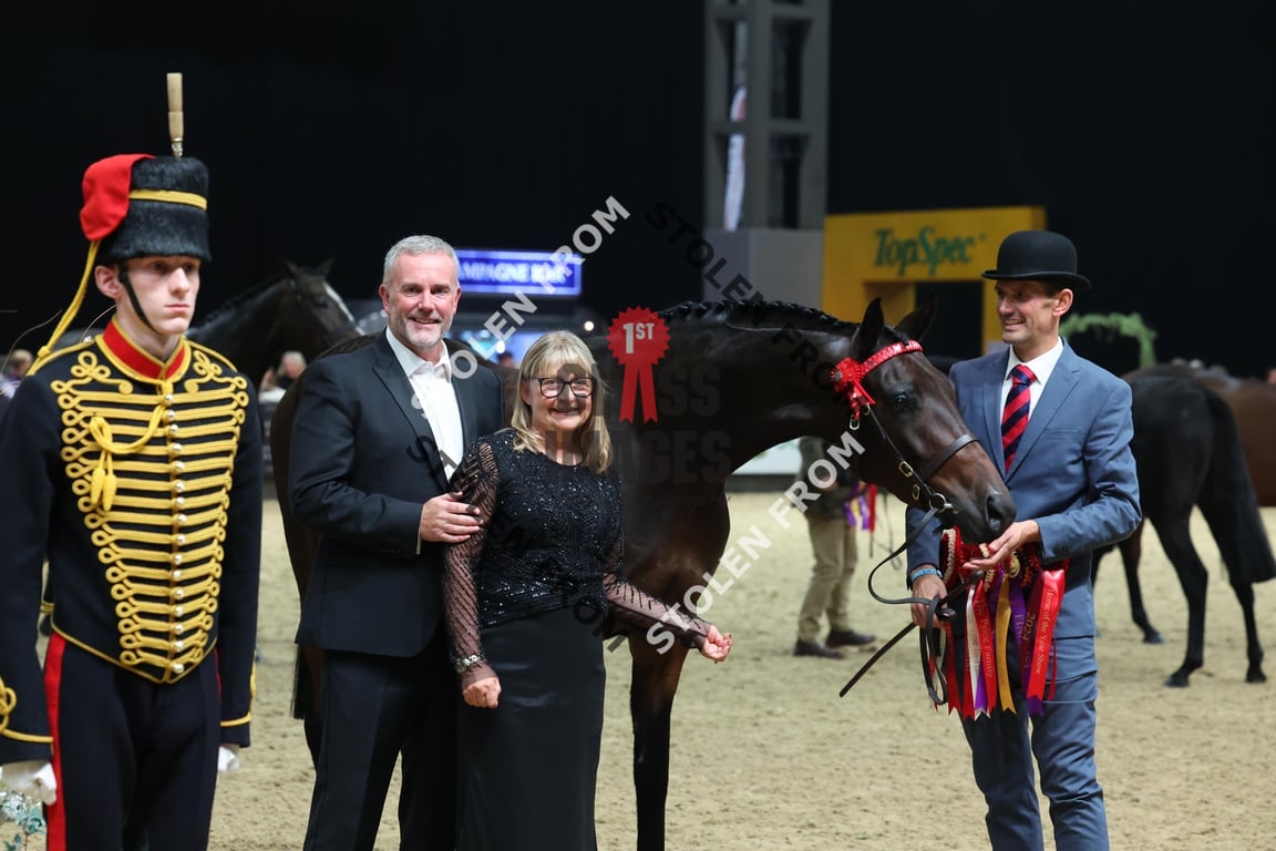 BD3_1951 2024 - 1st Class Images