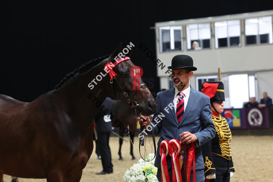 BD3_1962 2024 - 1st Class Images