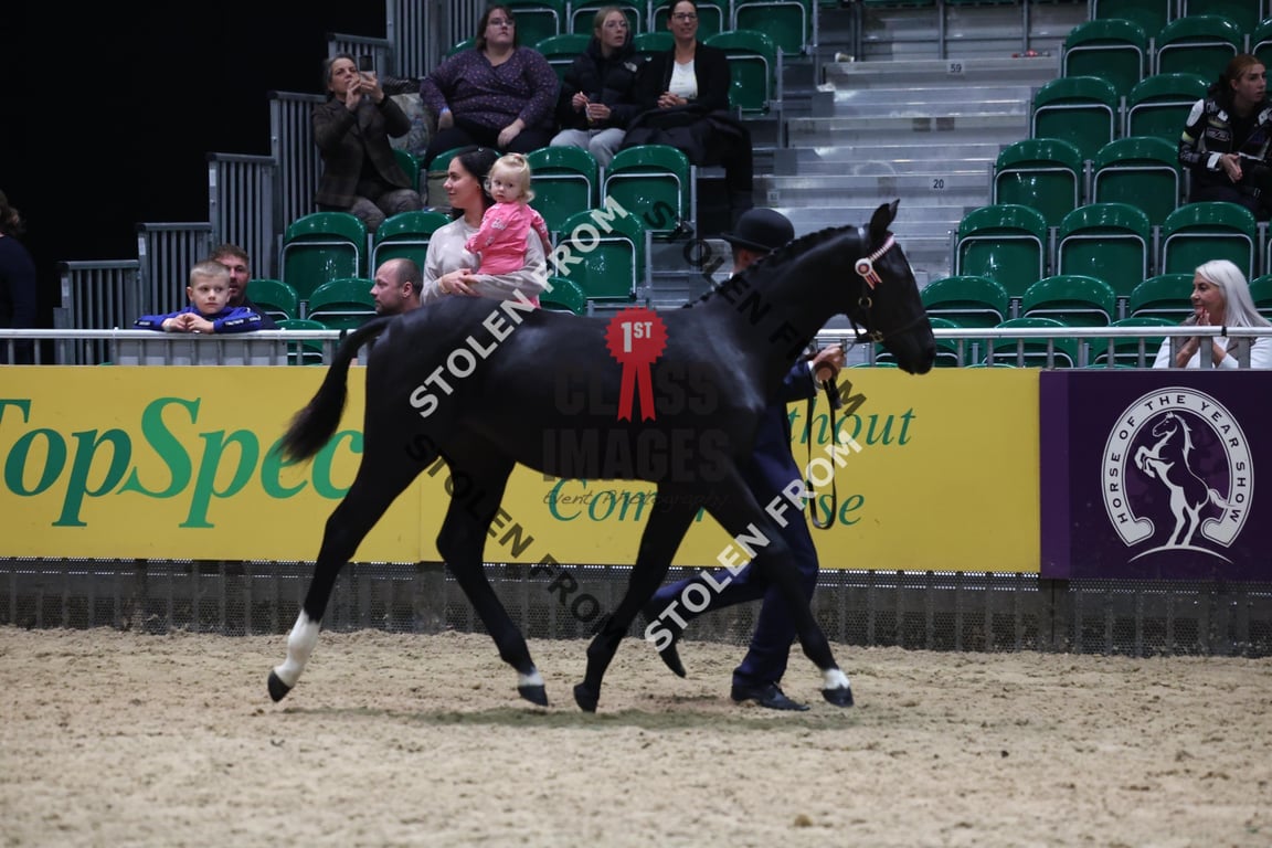 BD3_1984 2024 - 1st Class Images