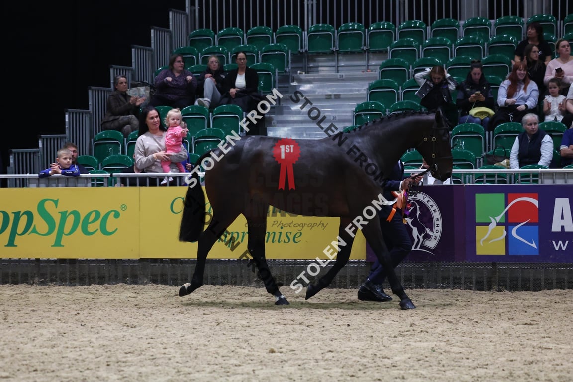 BD3_1994 2024 - 1st Class Images