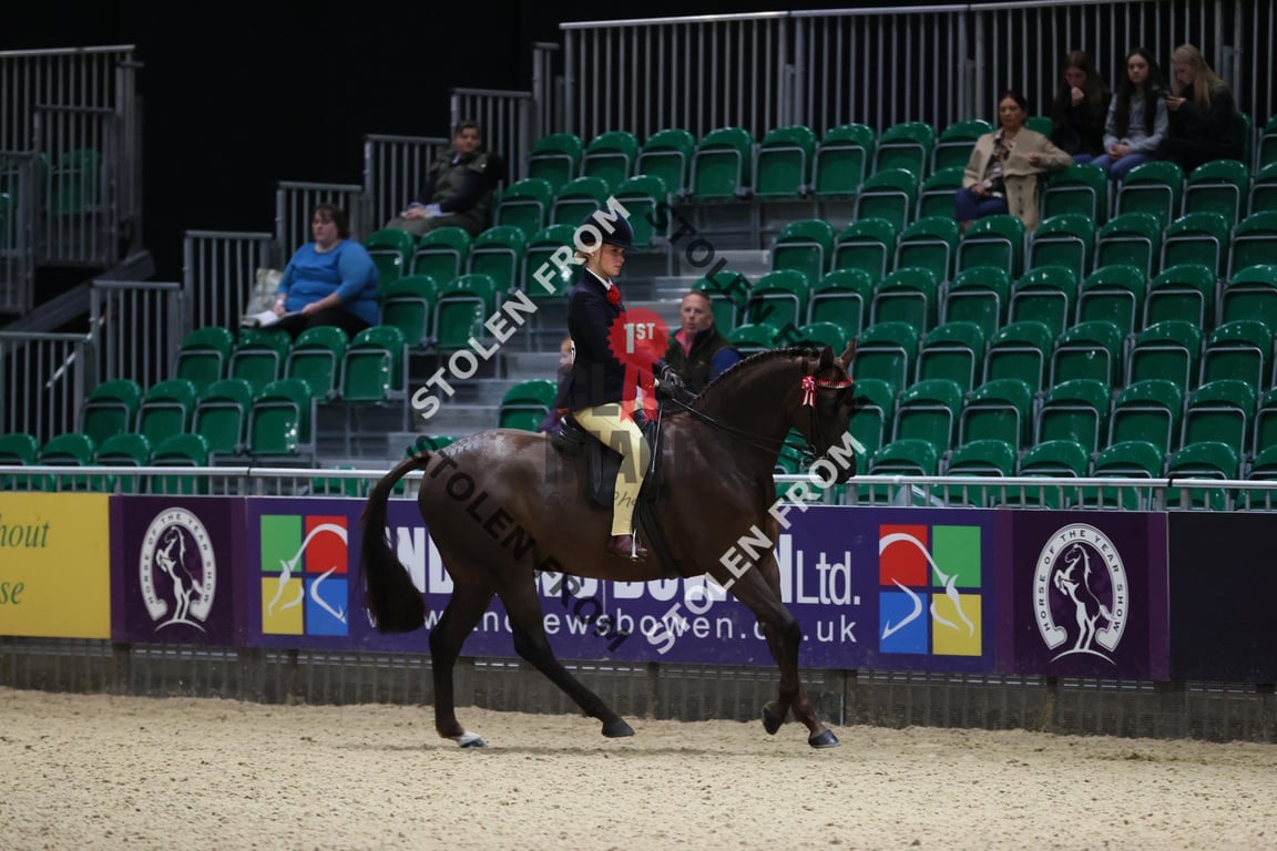 DD4_2346 2024 - 1st Class Images