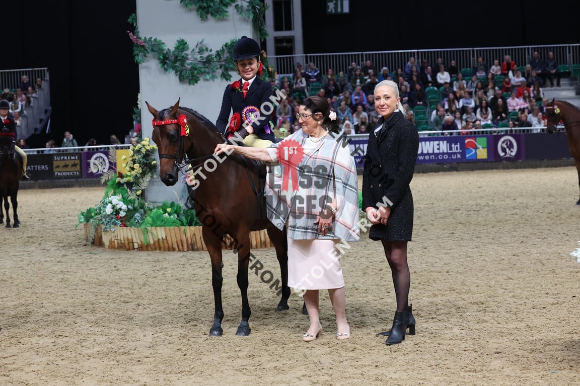 BD4_2545 2024 - 1st Class Images