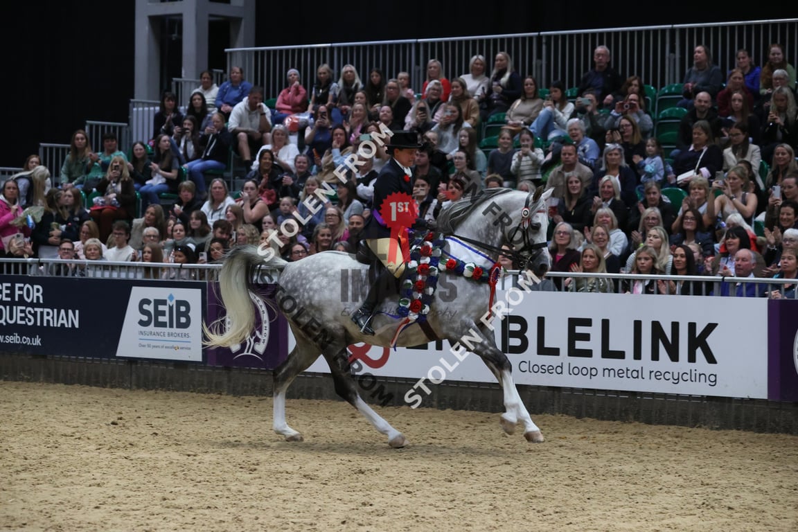 DD4_3999 2024 - 1st Class Images