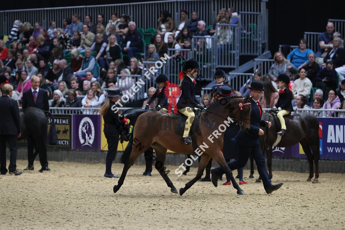 DD4_4087 2024 - 1st Class Images