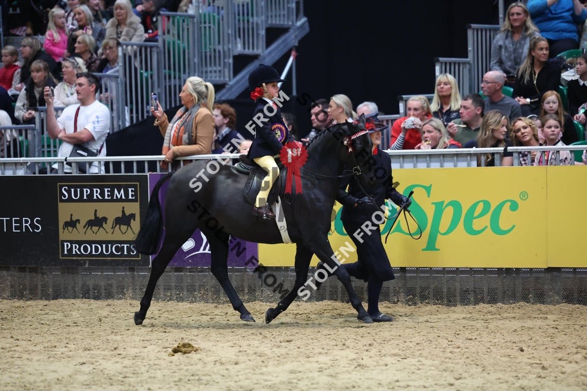 BD4_4268 2024 - 1st Class Images