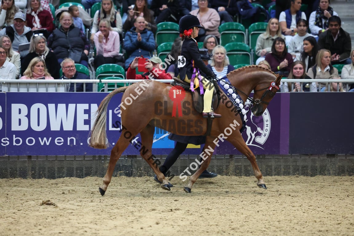 BD4_4278 2024 - 1st Class Images