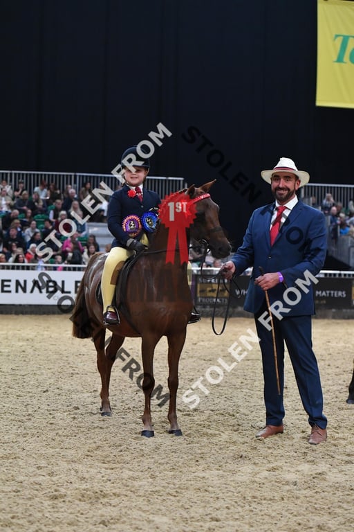 CD4_3289 2024 - 1st Class Images