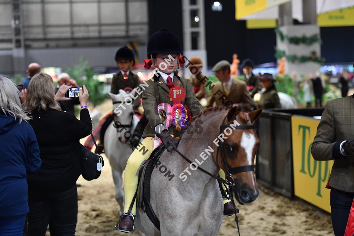 CD4_3704 2024 - 1st Class Images