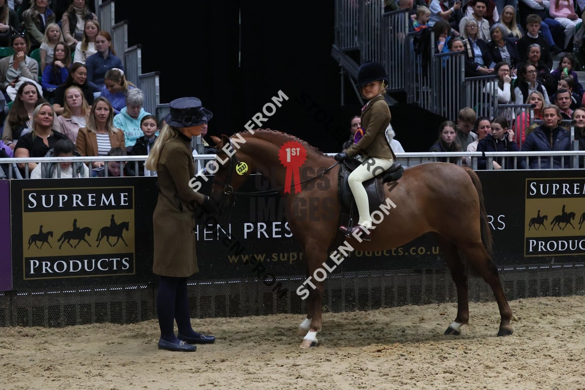 DD4_4710 2024 - 1st Class Images