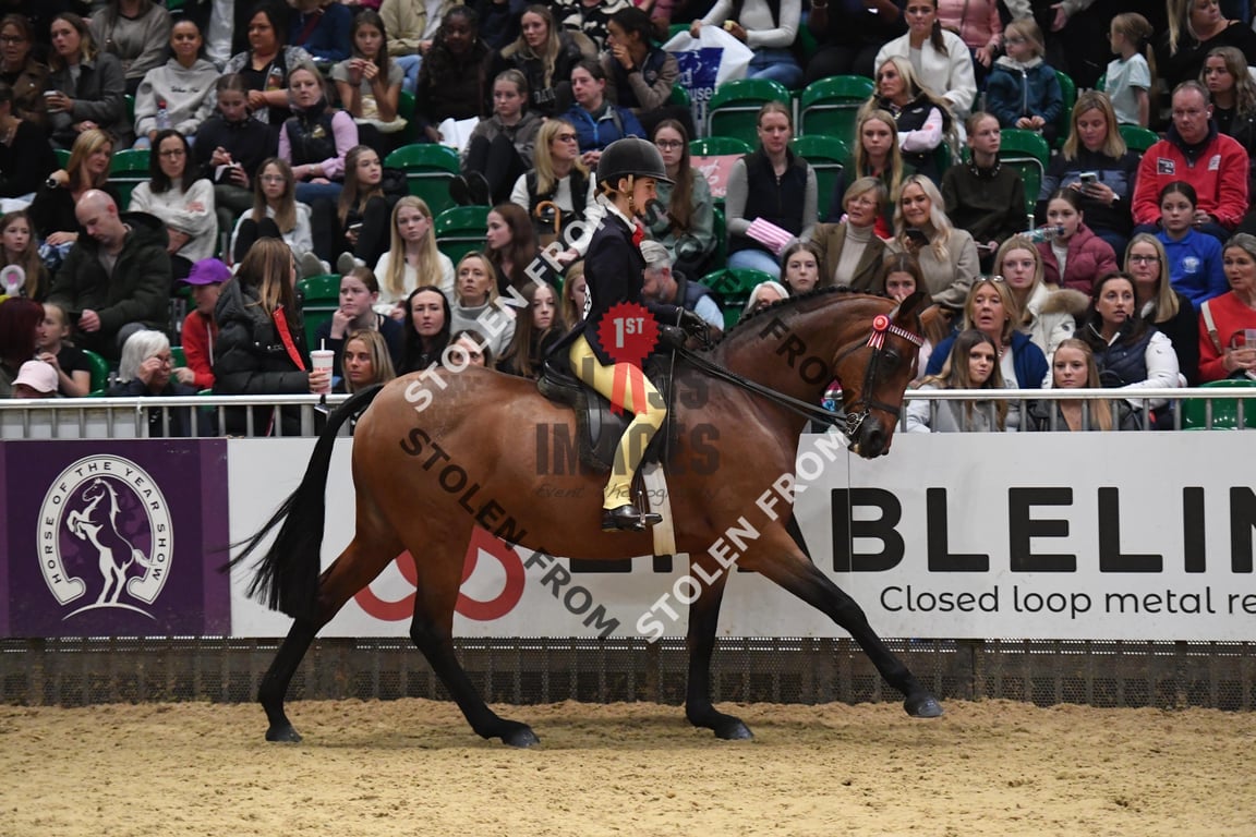 CD4_3787 2024 - 1st Class Images