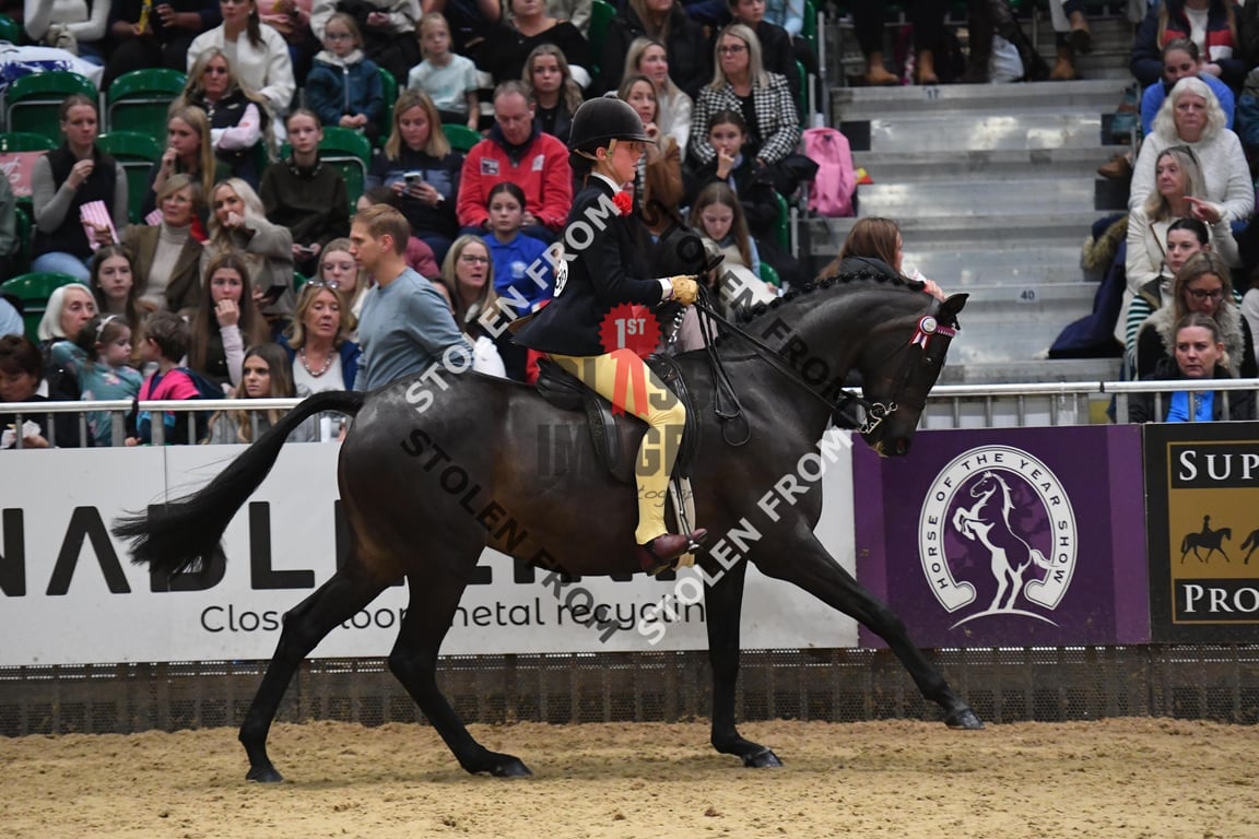 CD4_3796 2024 - 1st Class Images