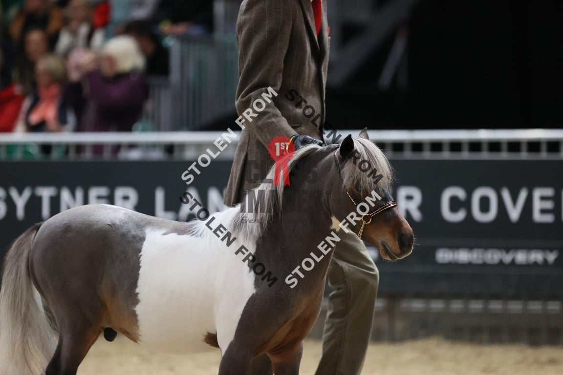 DD4_5293 2024 - 1st Class Images