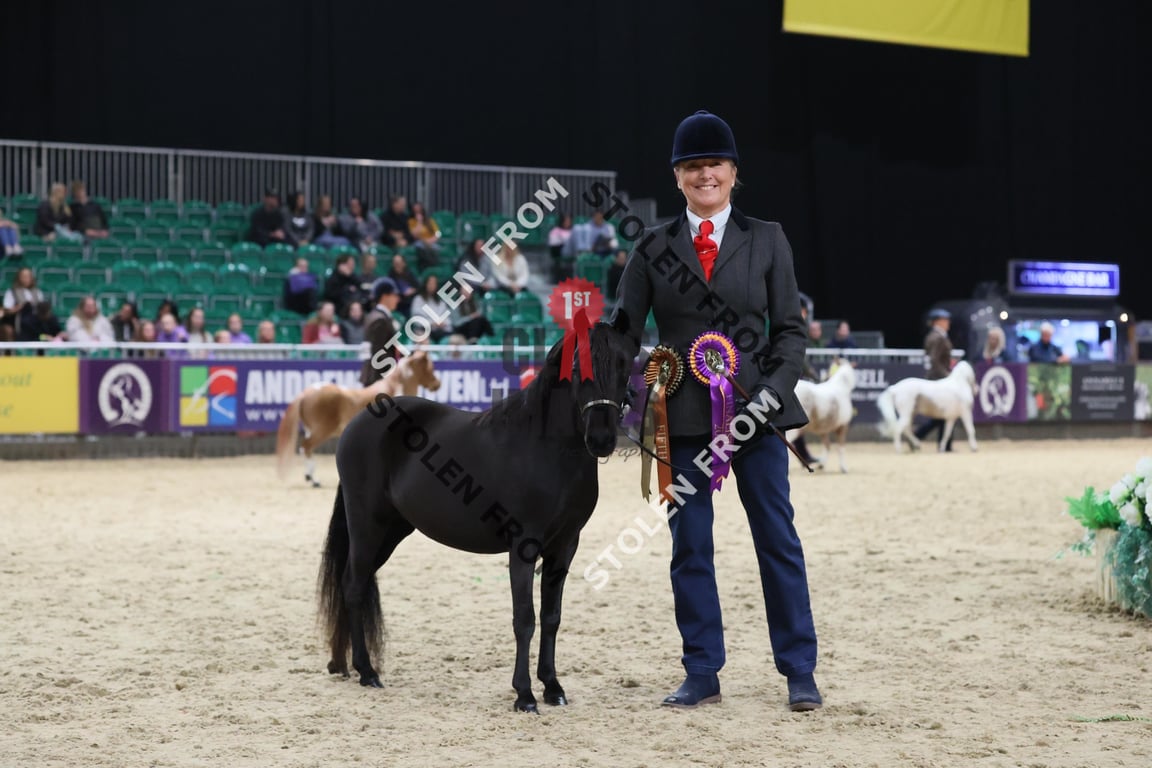 DD4_5513 2024 - 1st Class Images