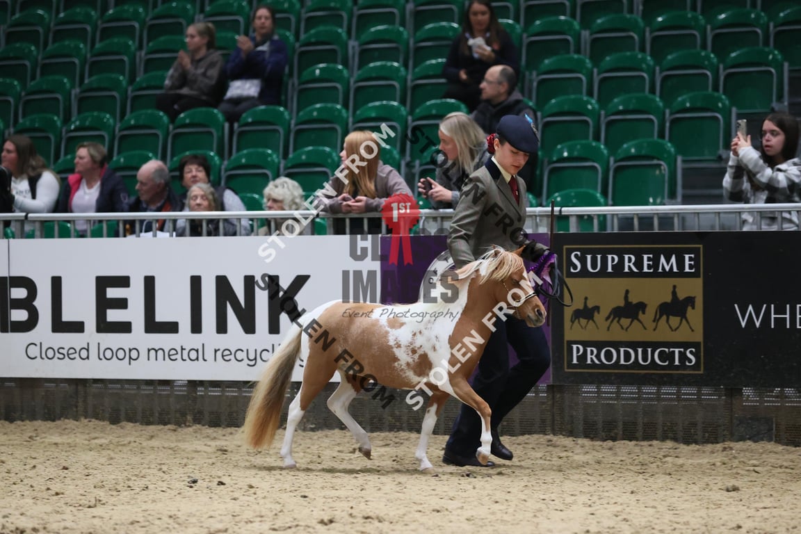 DD4_5539 2024 - 1st Class Images