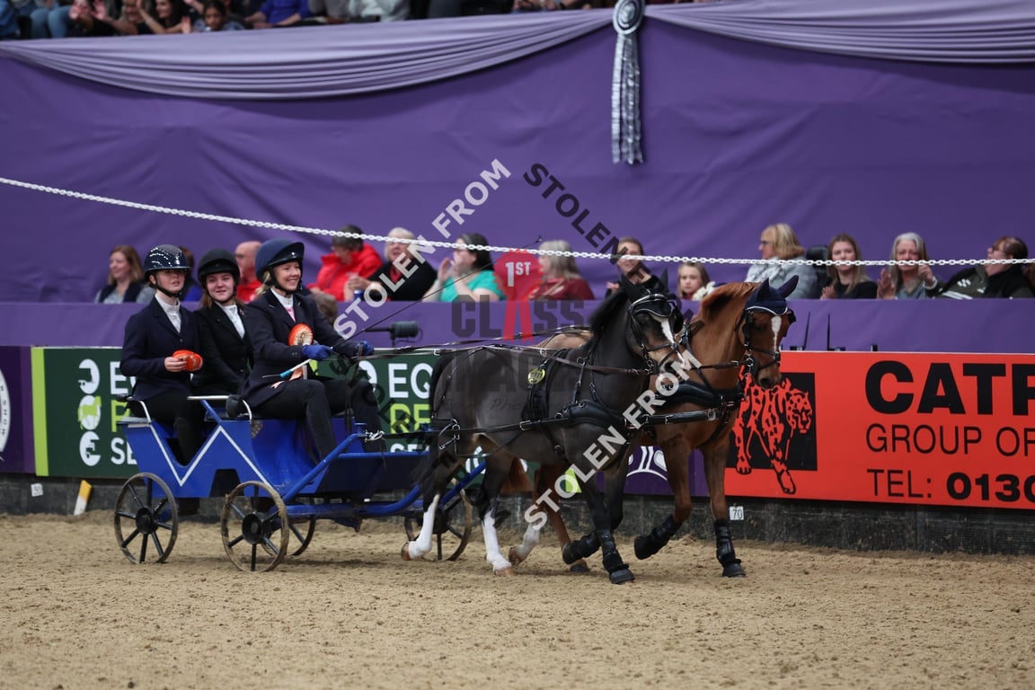 KD4_2154 2024 - 1st Class Images