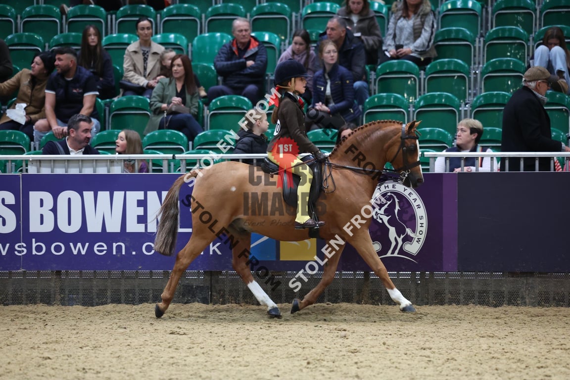 BD5_6688 2024 - 1st Class Images