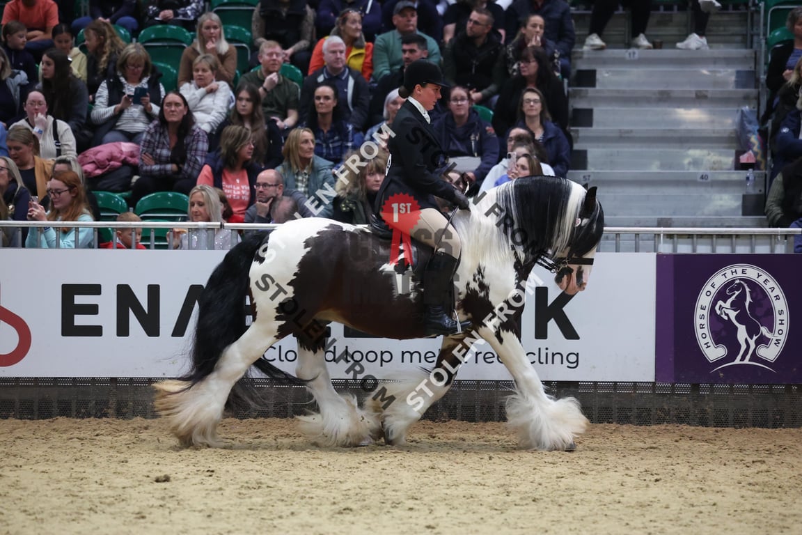 BD5_7745 2024 - 1st Class Images