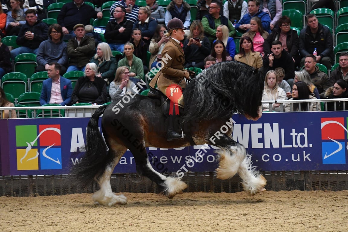 CD5_1723 2024 - 1st Class Images