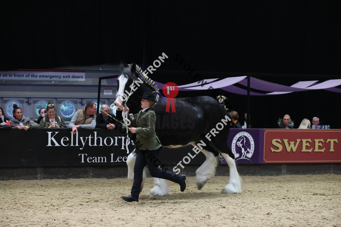 DD5_9277 2024 - 1st Class Images