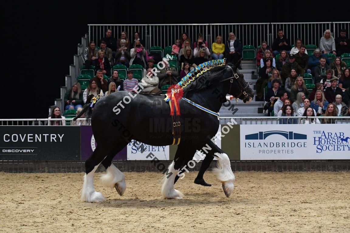 CD5_2147 2024 - 1st Class Images