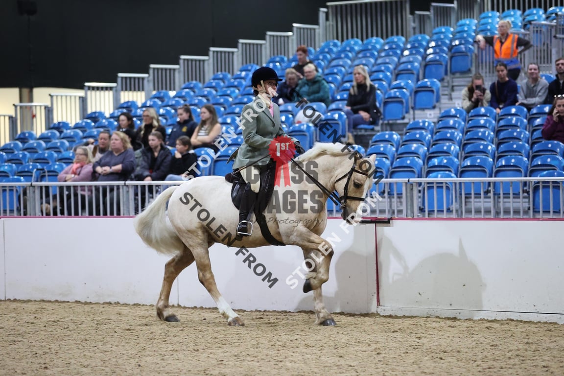 HD9_2304 2024 - 1st Class Images