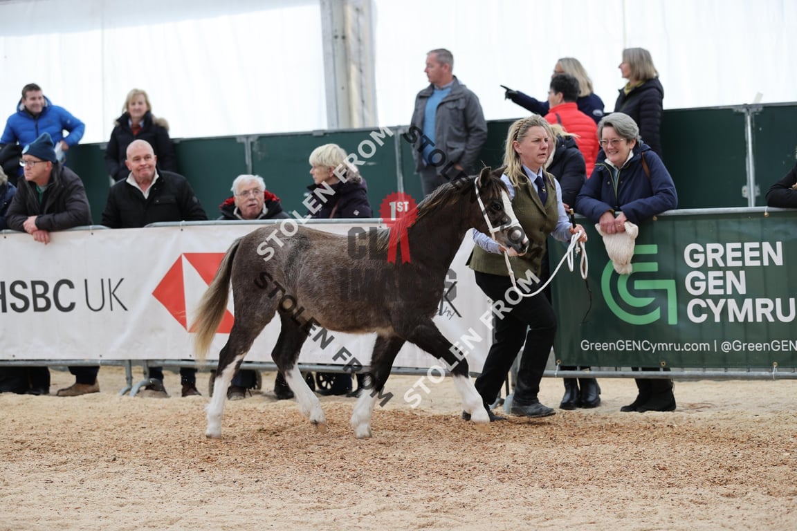 SE2_1243 2024 - 1st Class Images