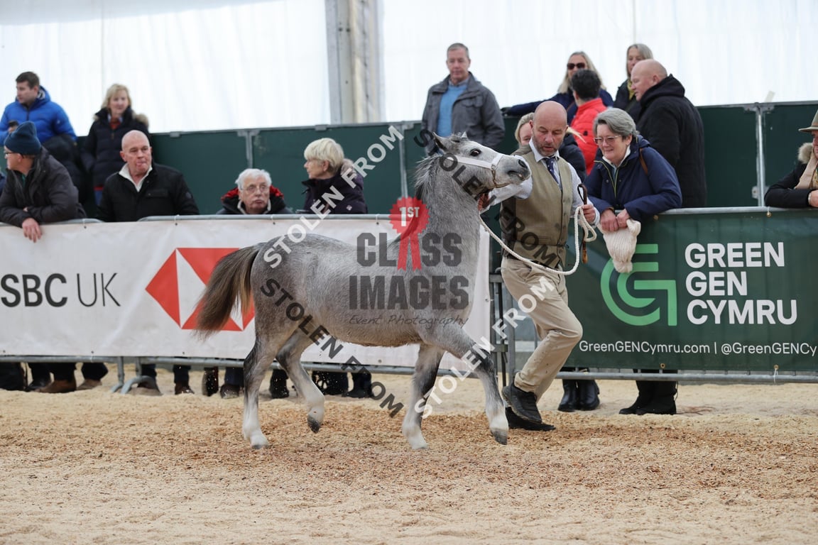 SE2_1253 2024 - 1st Class Images