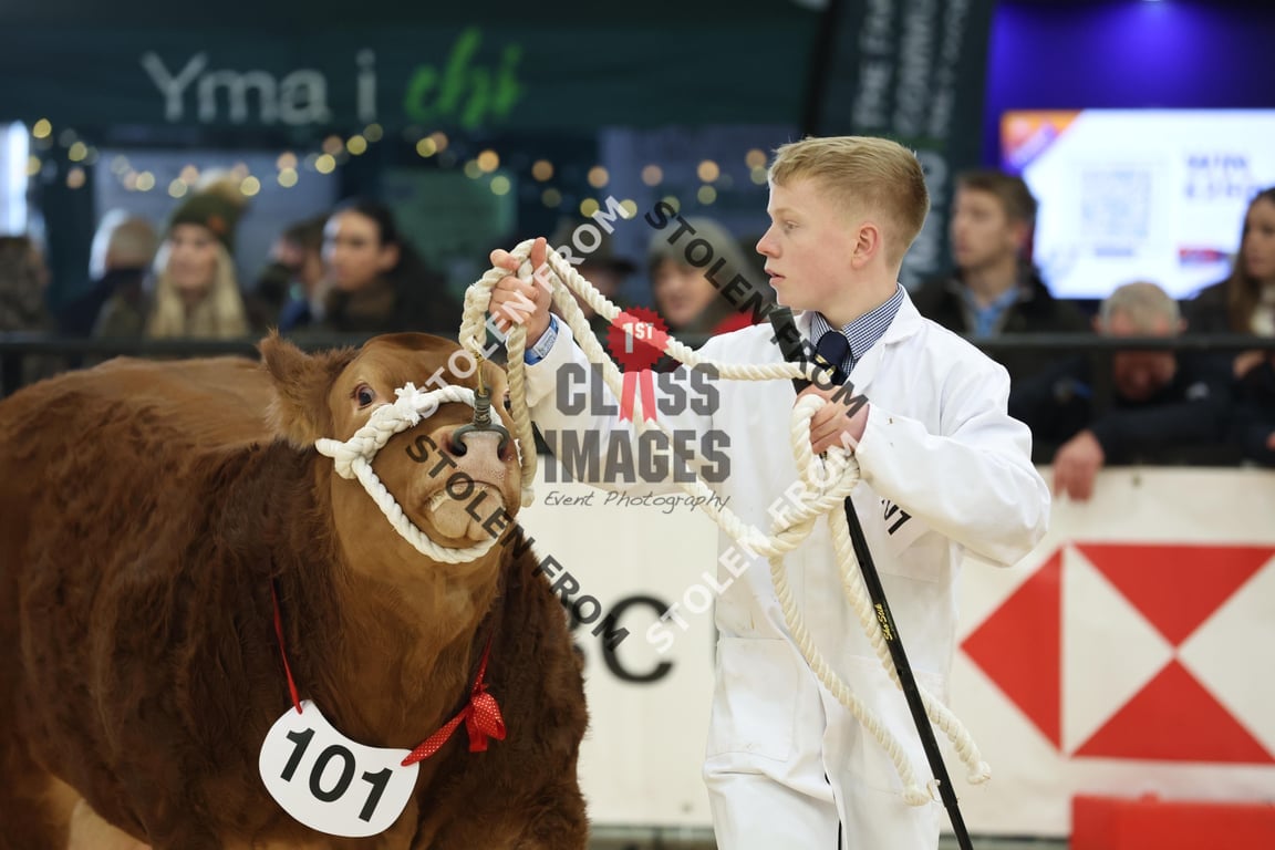 HE2_4651 2024 - 1st Class Images