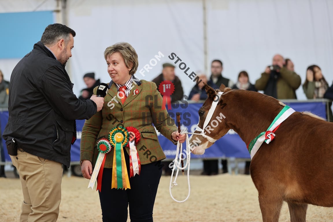 SE2_2304 2024 - 1st Class Images