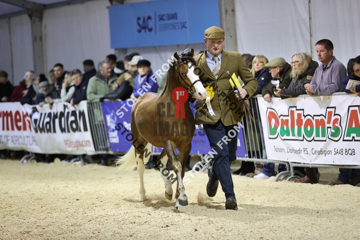 SE2_2767 2024 - 1st Class Images