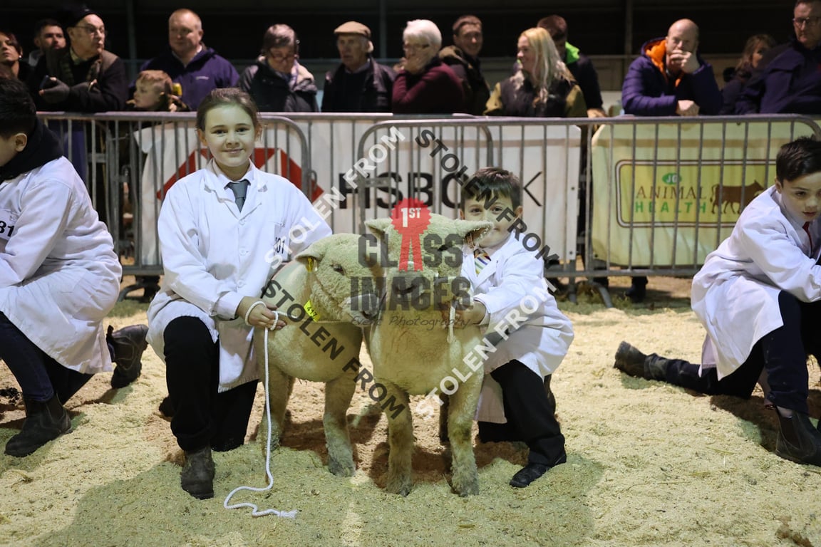 ME2_1270 2024 - 1st Class Images