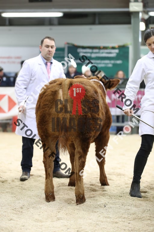 GE3_6688 2024 - 1st Class Images